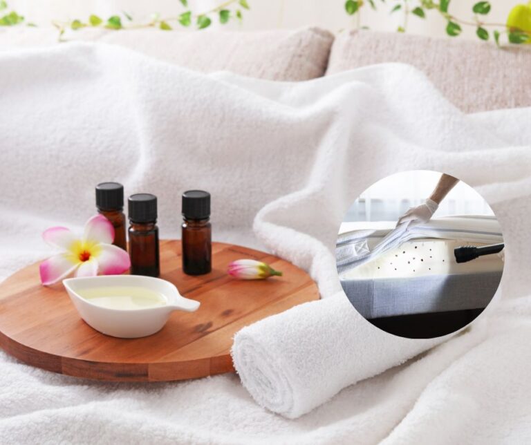 10 Amazing Home Remedies To Get Rid Of Bed Bugs Fast